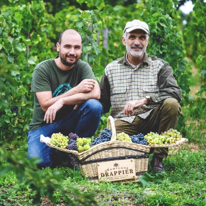 Die Ernte des Jahrzehnts: Was die Champagne 2025 so besonders macht